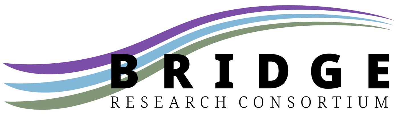 BRIDGE RESEARCH CONSORTIUM - Canada’s Immunoengineering and ...