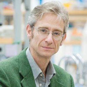 Team - Canada’s Immunoengineering and Biomanufacturing Hub